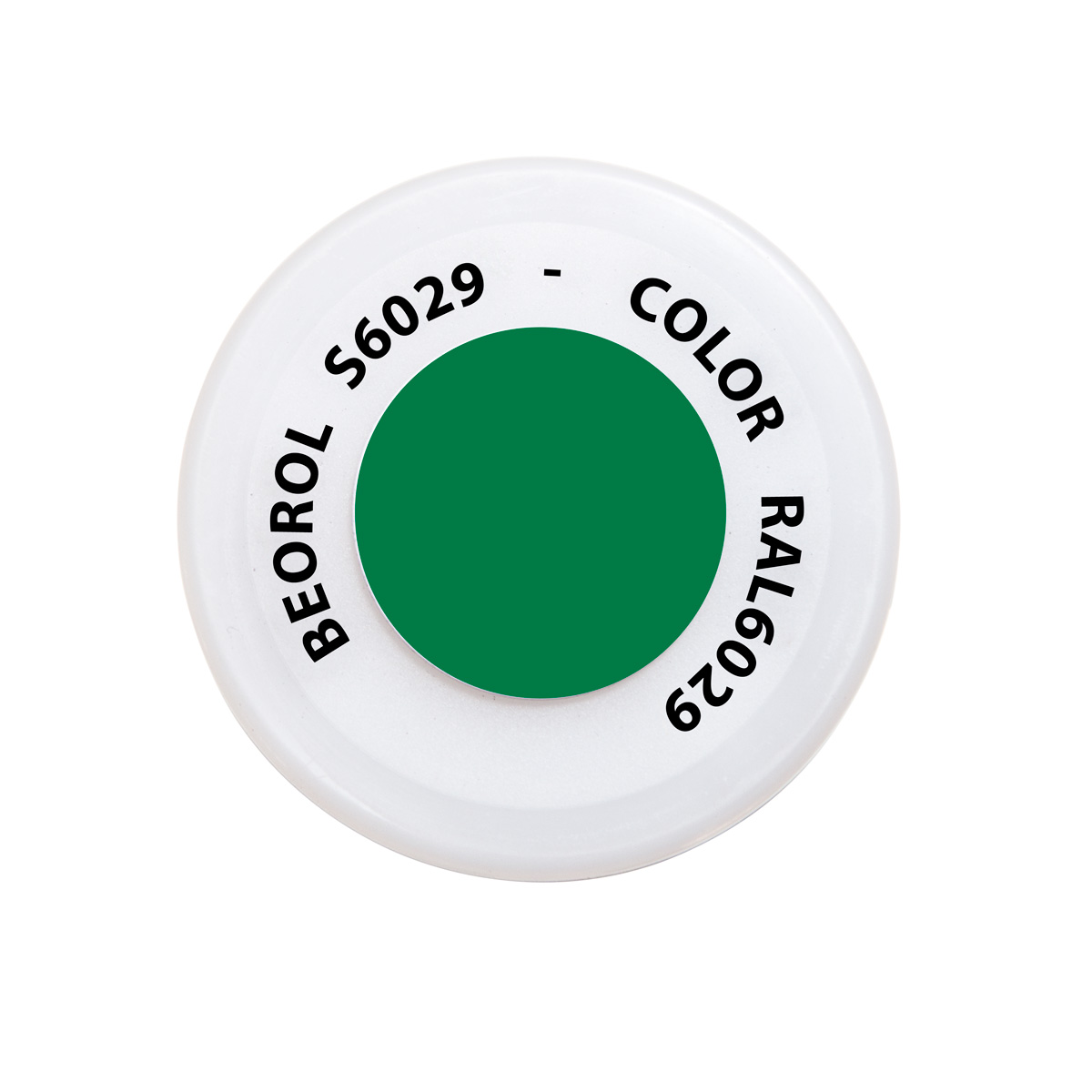 Spray paint Green Verde RAL6029 S6029 | Beorol d.o.o